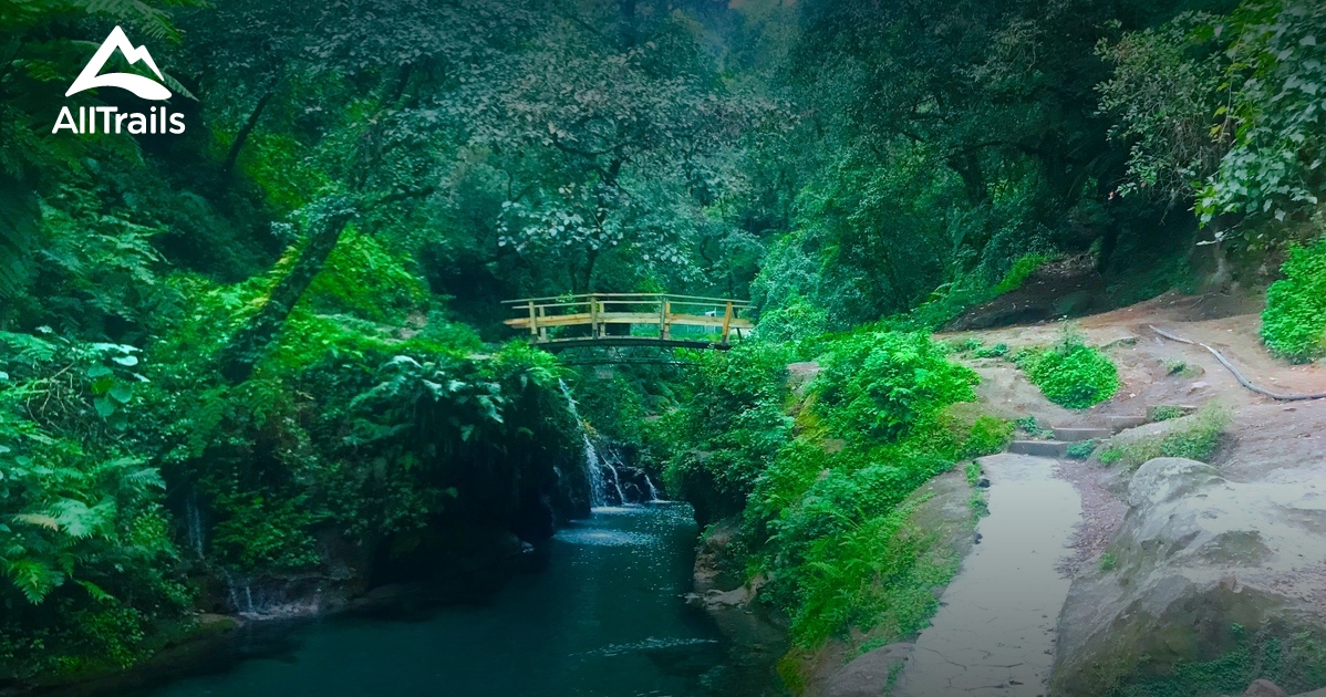 Best hikes and trails in Altotonga | AllTrails