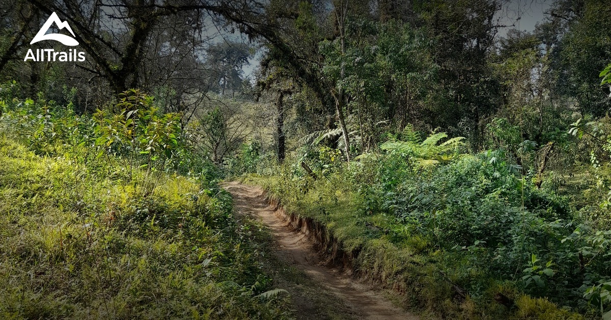 Los mejores senderos y rutas en Huatusco | AllTrails