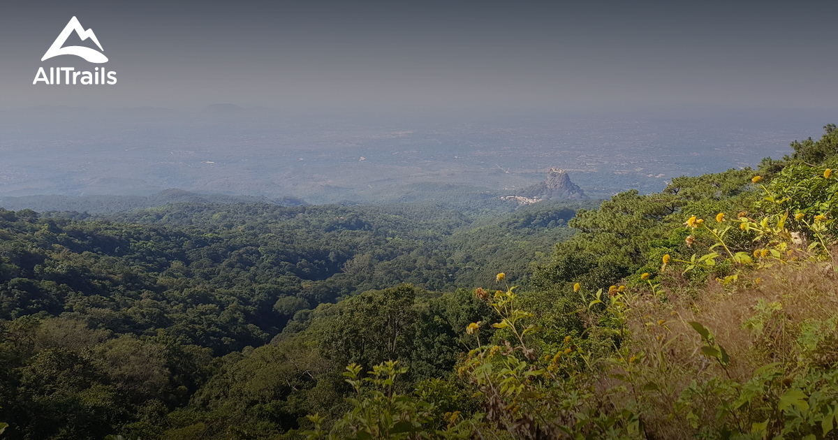 Best hikes and trails in Kyaukpadaung | AllTrails