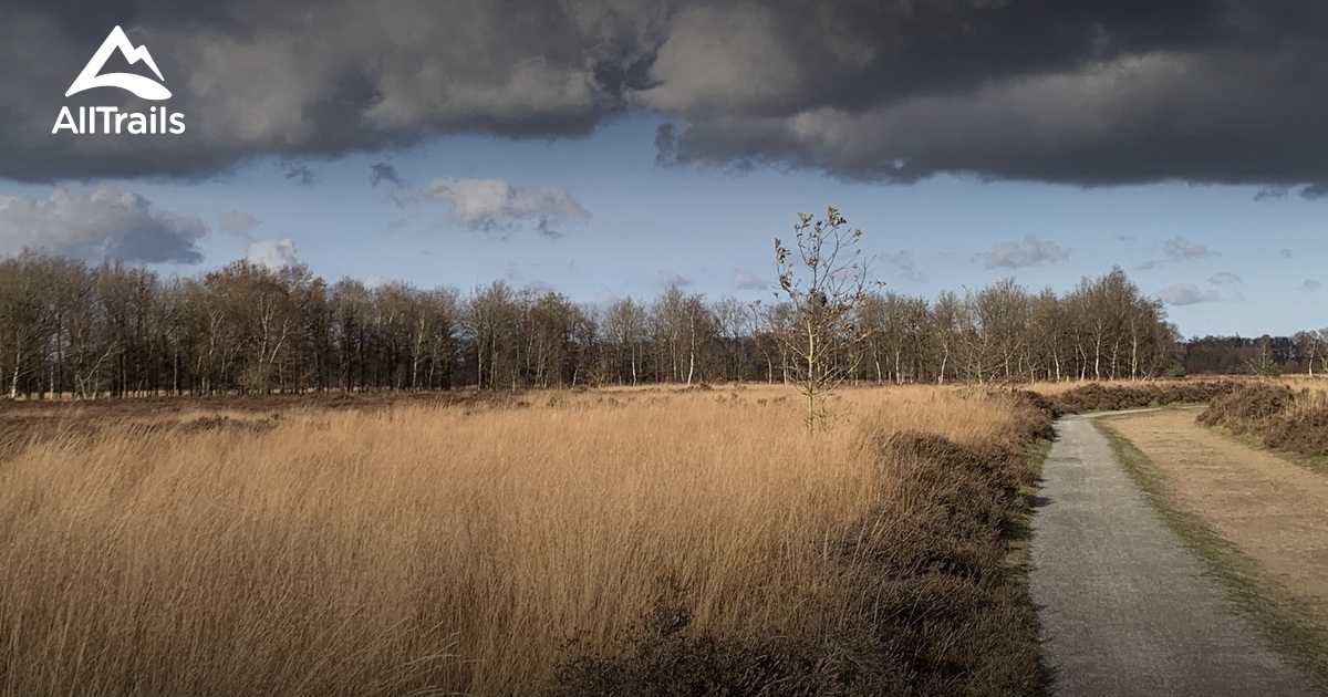 Best wildflower trails in Balloërveld | AllTrails