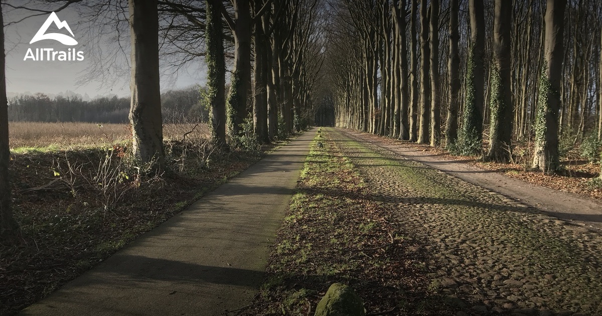 De 10 beste wandelroutes om te wandelen in Borger | AllTrails