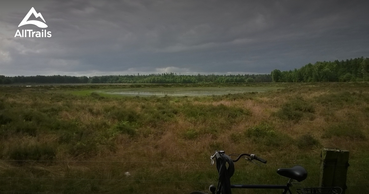 Best hikes and trails in Echten | AllTrails