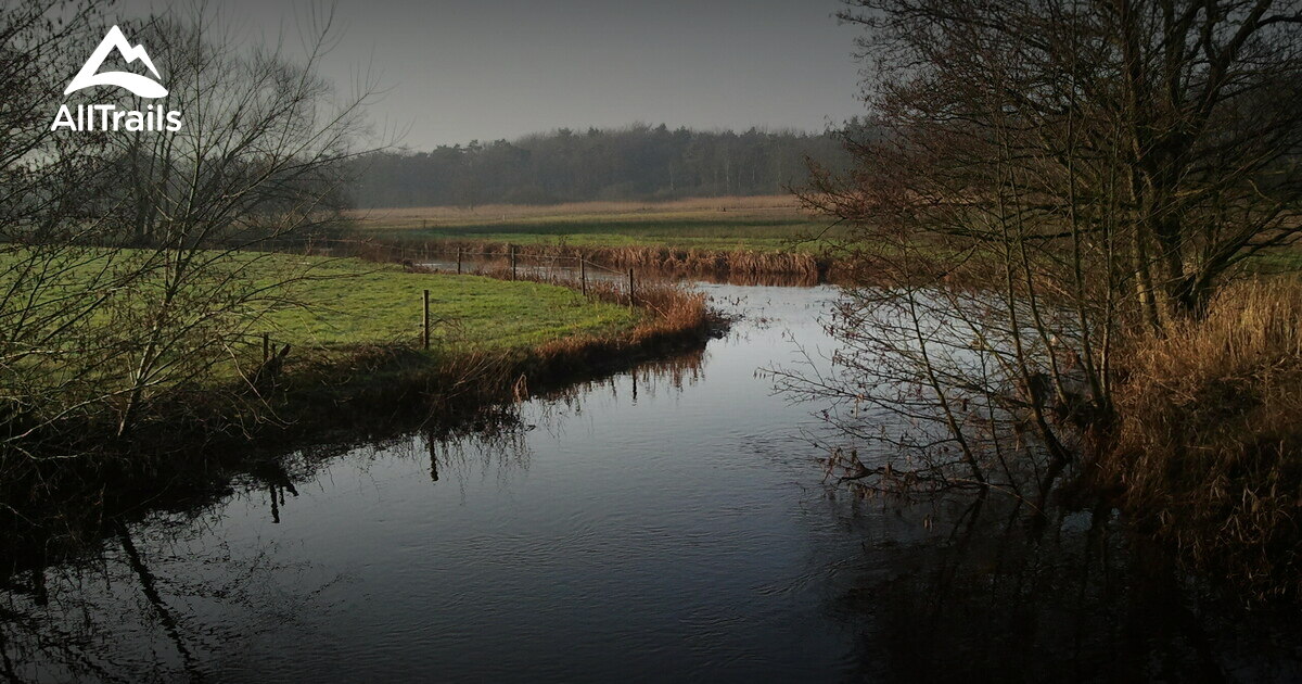 Best hikes and trails in Roden | AllTrails