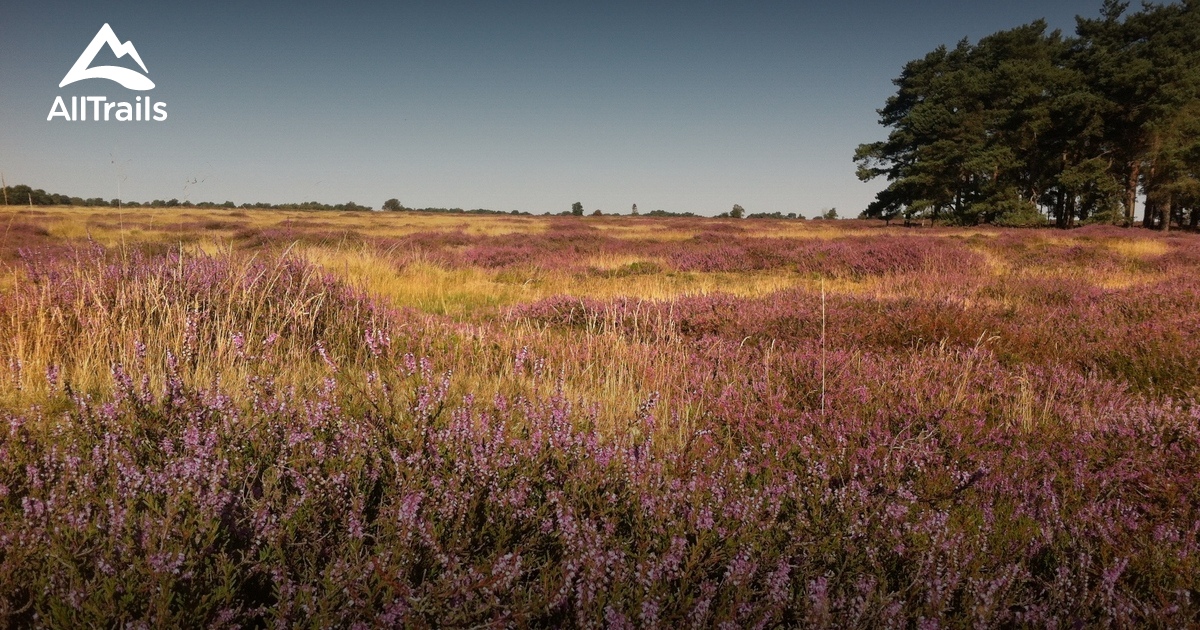 Best hikes and trails in Rolde | AllTrails