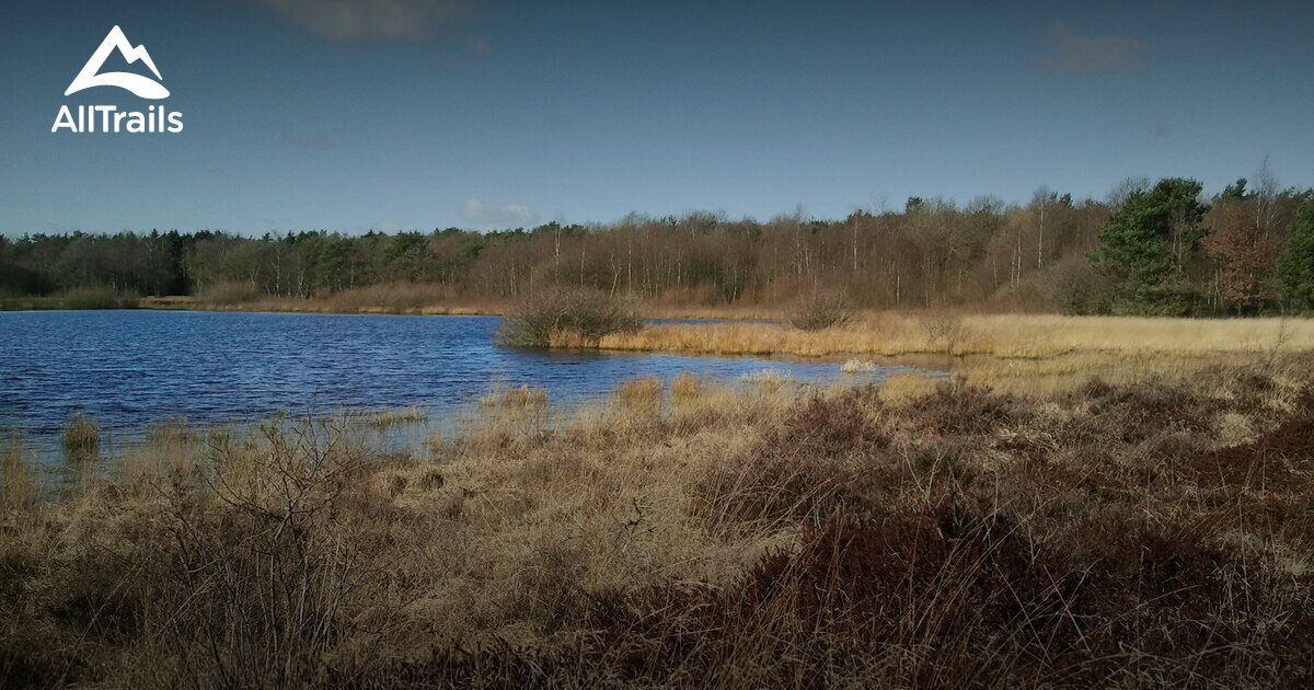 Best walking trails in Ruinen | AllTrails