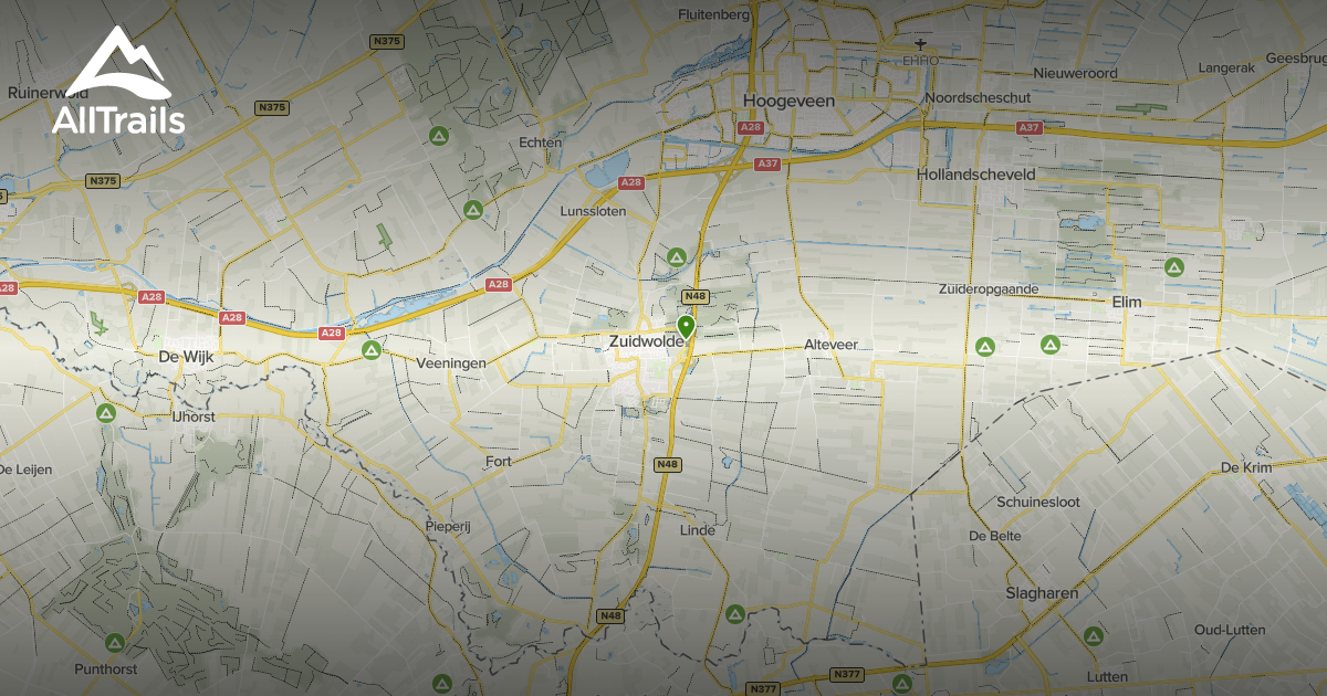 Best forest trails in Zuidwolde | AllTrails