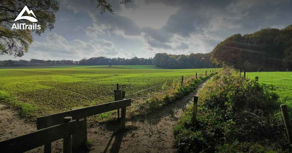 De 10 beste wandelroutes om te wandelen in Berg en Dal | AllTrails