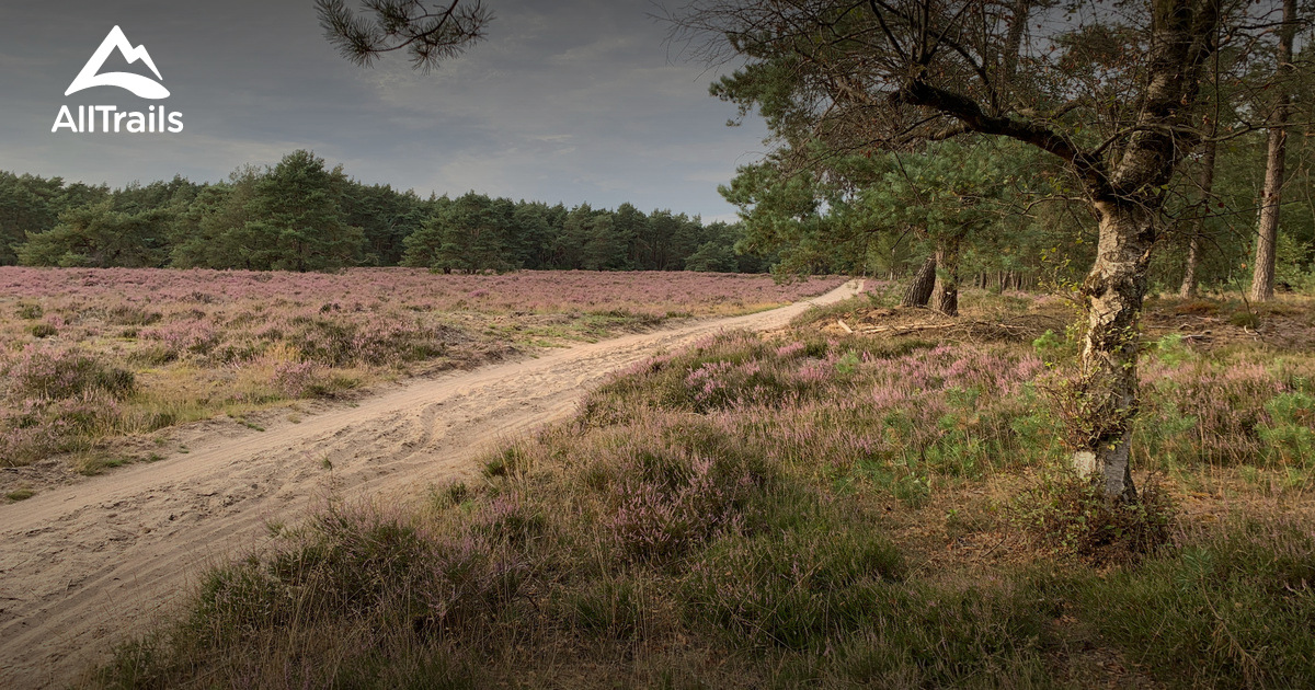 Los mejores senderos difíciles en Ede | AllTrails