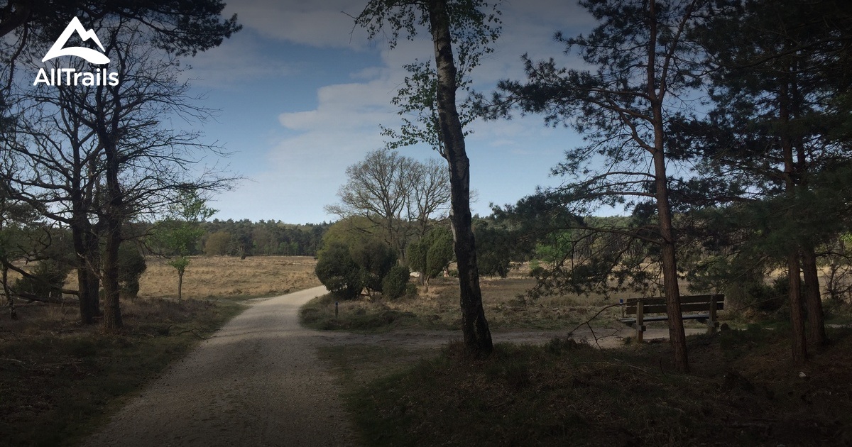 De 10 beste wandelroutes om te wandelen in Eerbeek | AllTrails