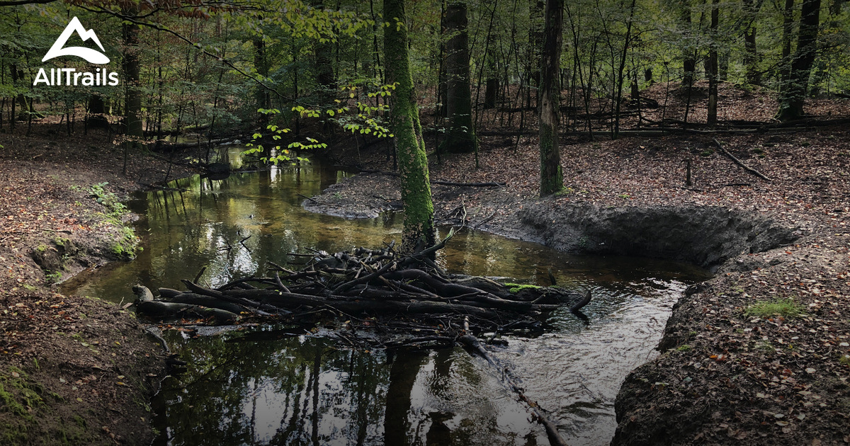De 10 beste wandelroutes om te wandelen in Elspeet | AllTrails