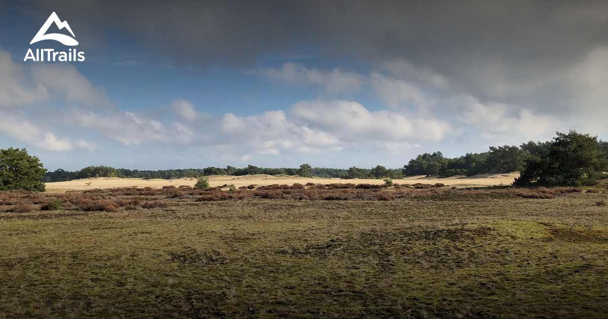 10 Best forest trails in Ermelo | AllTrails