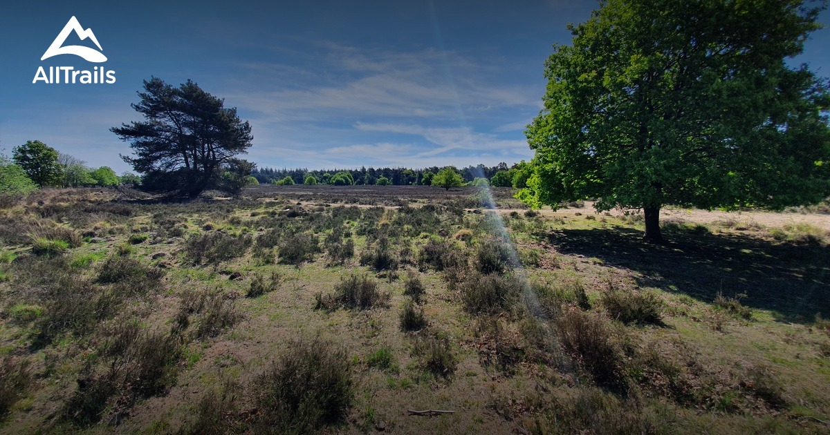 10 Best trails and hikes in Garderen | AllTrails