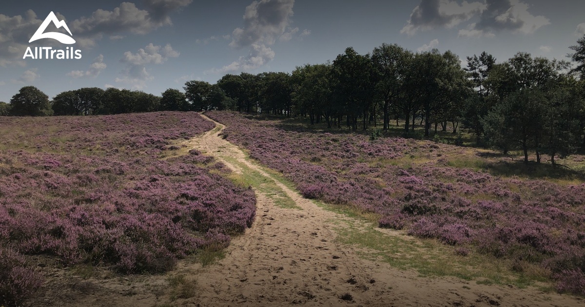 10 Best Walking Trails in Loenen | AllTrails