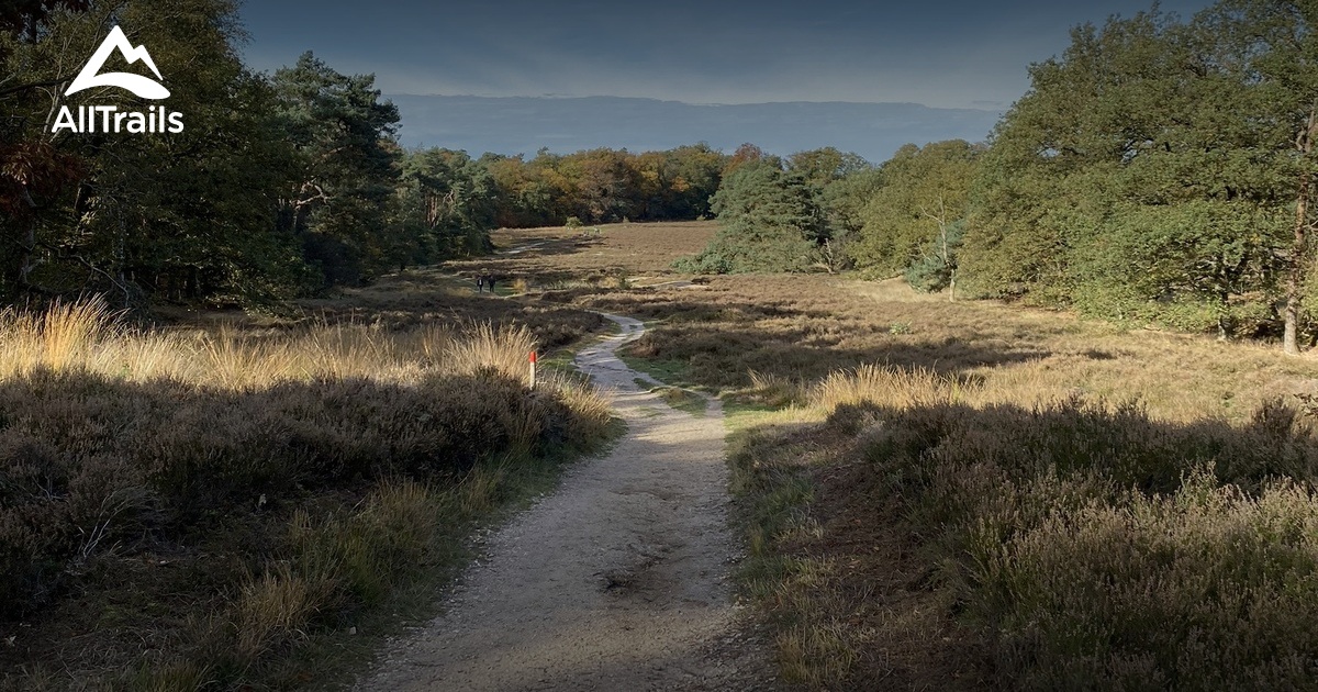 De 10 beste wandelroutes om te wandelen in Oosterbeek | AllTrails