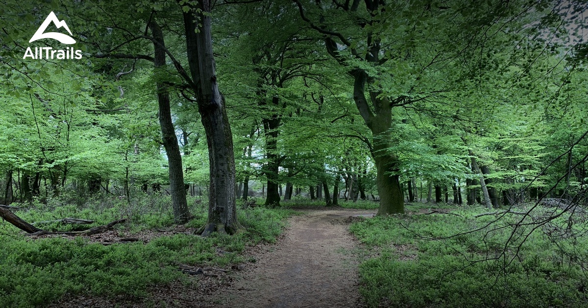 10 Best trails and hikes in Uddel | AllTrails