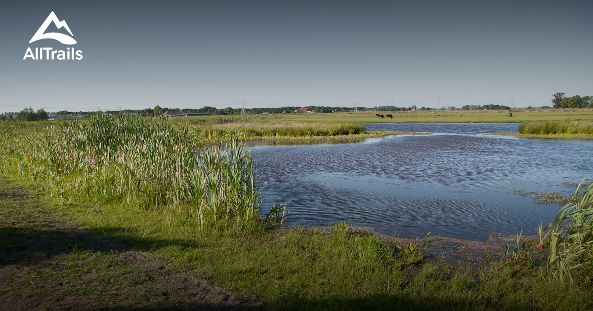 Best hikes and trails in Steendam | AllTrails