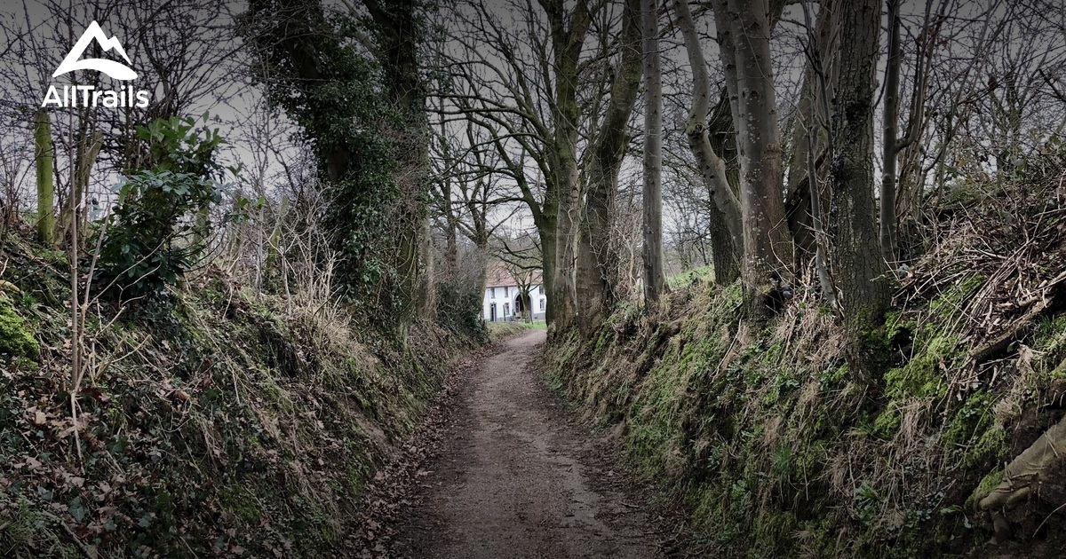 Best Hikes and Trails in Hulsberg | AllTrails
