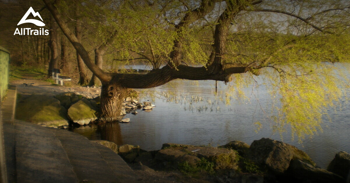 Bästa fågelskådningslederna i Lomm | AllTrails