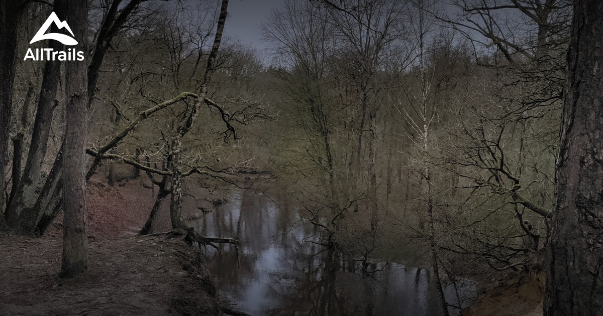 Nunhem : les meilleurs itinéraires avec un lac | AllTrails