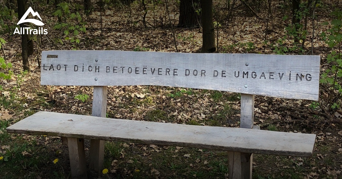 Najlepsze szlaki leśne w: Sevenum | AllTrails