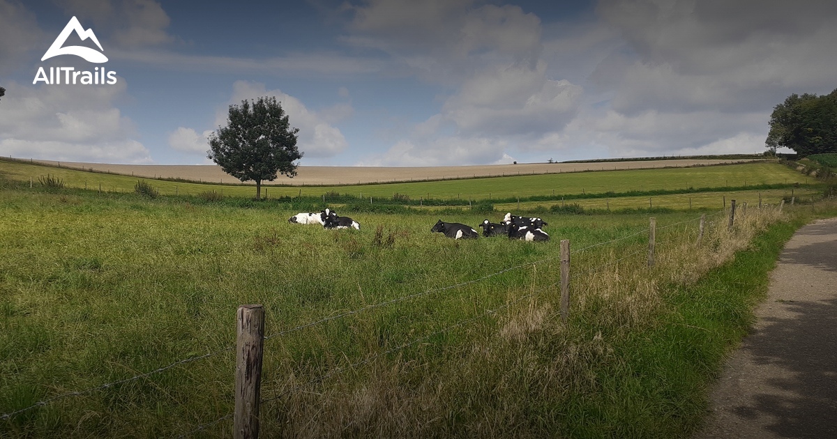 Best hikes and trails in Simpelveld | AllTrails