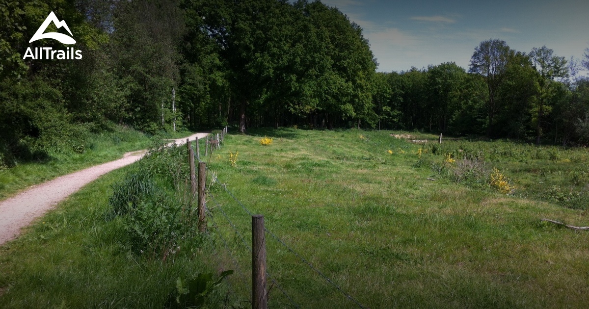 De beste wandelroutes om te wandelen in Swalmen | AllTrails
