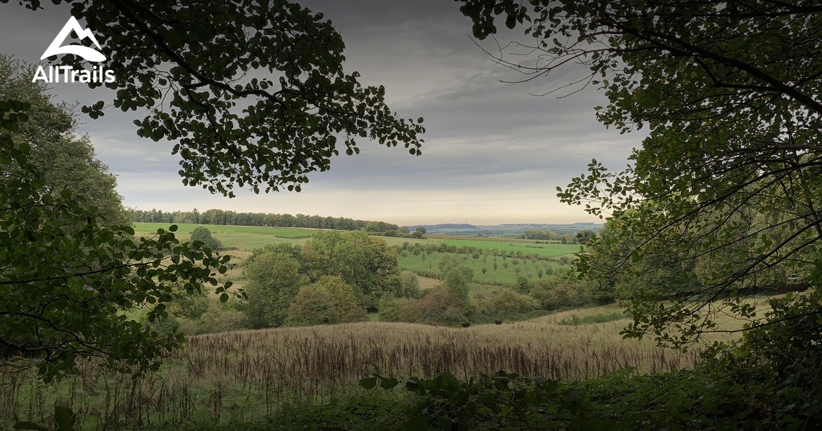 De 10 beste wandelroutes om te wandelen in Vijlen | AllTrails
