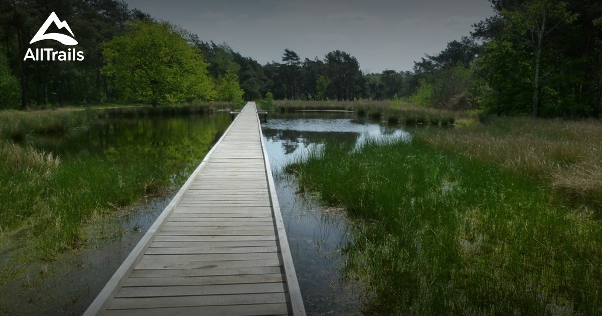Best easy trails in Wellerlooi | AllTrails