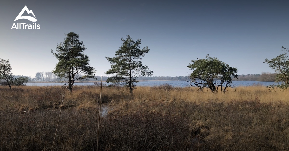 Best camping trails in Bladel | AllTrails