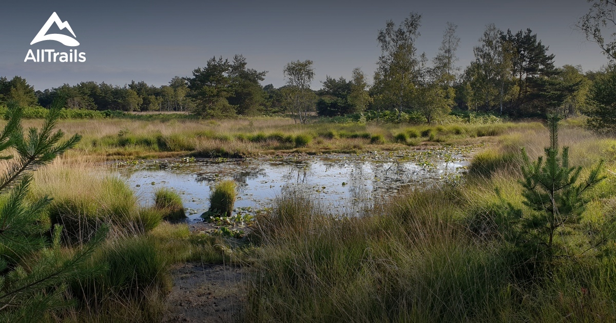 Boxtel: Die 10 schönsten Routen zum Wandern | AllTrails