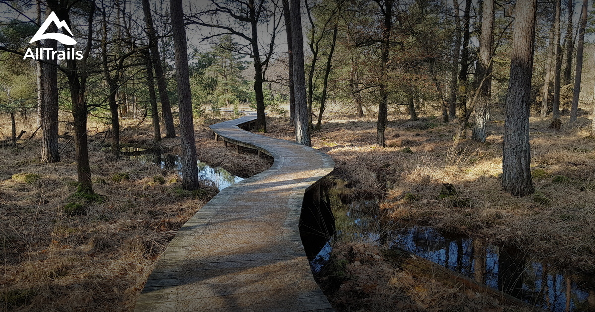 Best hikes and trails in De Rips | AllTrails