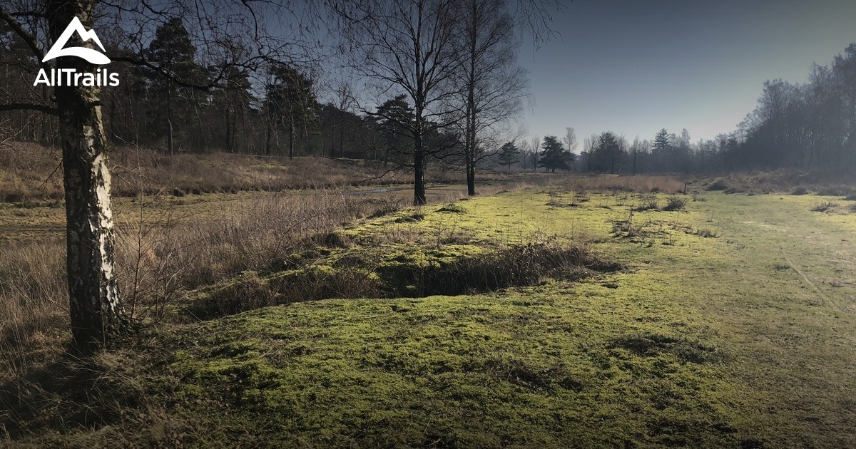 Best forest trails in Dorst | AllTrails