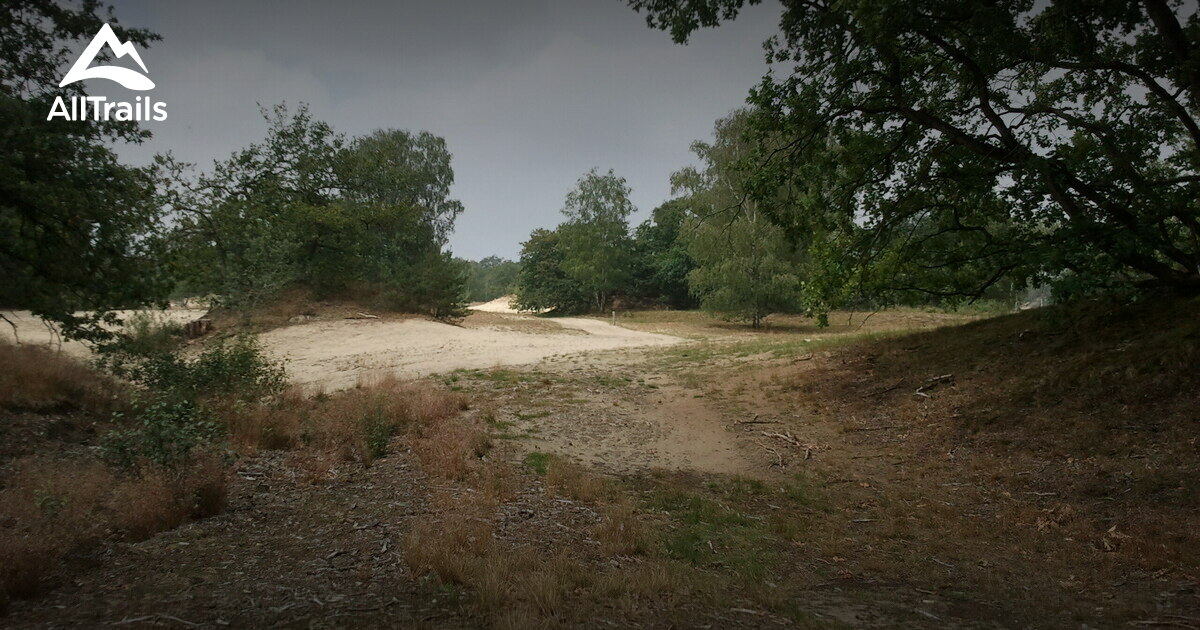 Best lake trails in Drunen | AllTrails