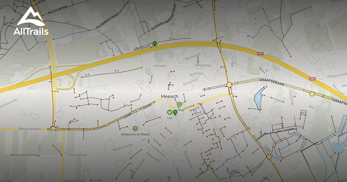 Best hikes and trails in Heesch | AllTrails