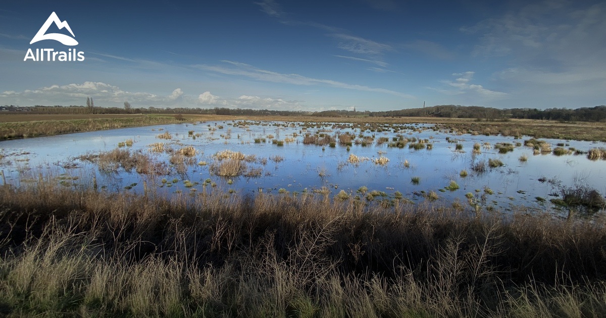 Best forest trails in Hoogerheide | AllTrails