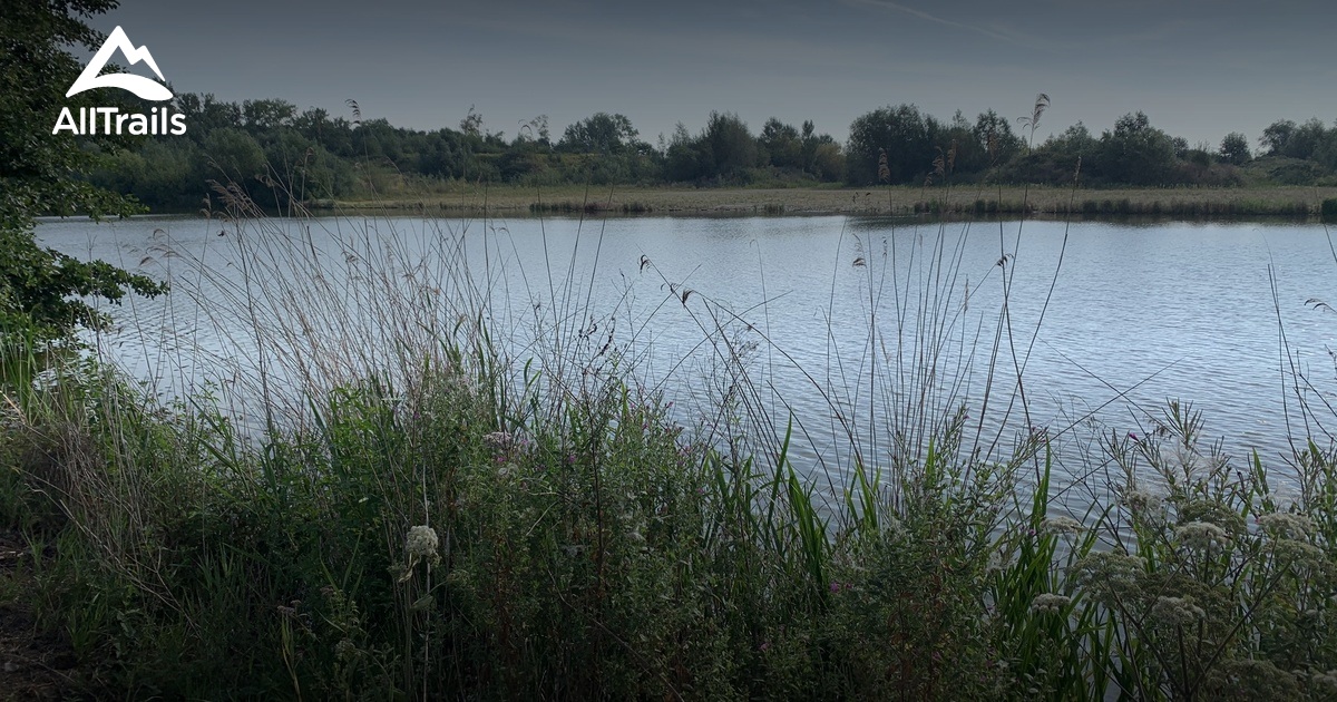 2023 Best Forest Trails in Lepelstraat | AllTrails