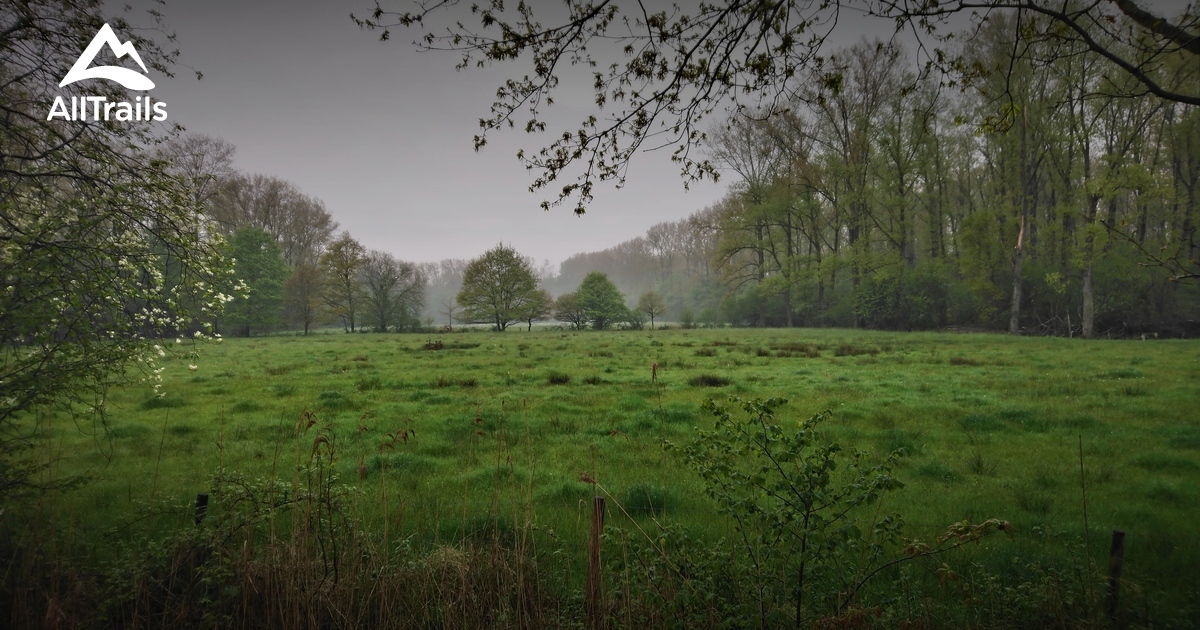 Bedste campingruter i Oirschot | AllTrails