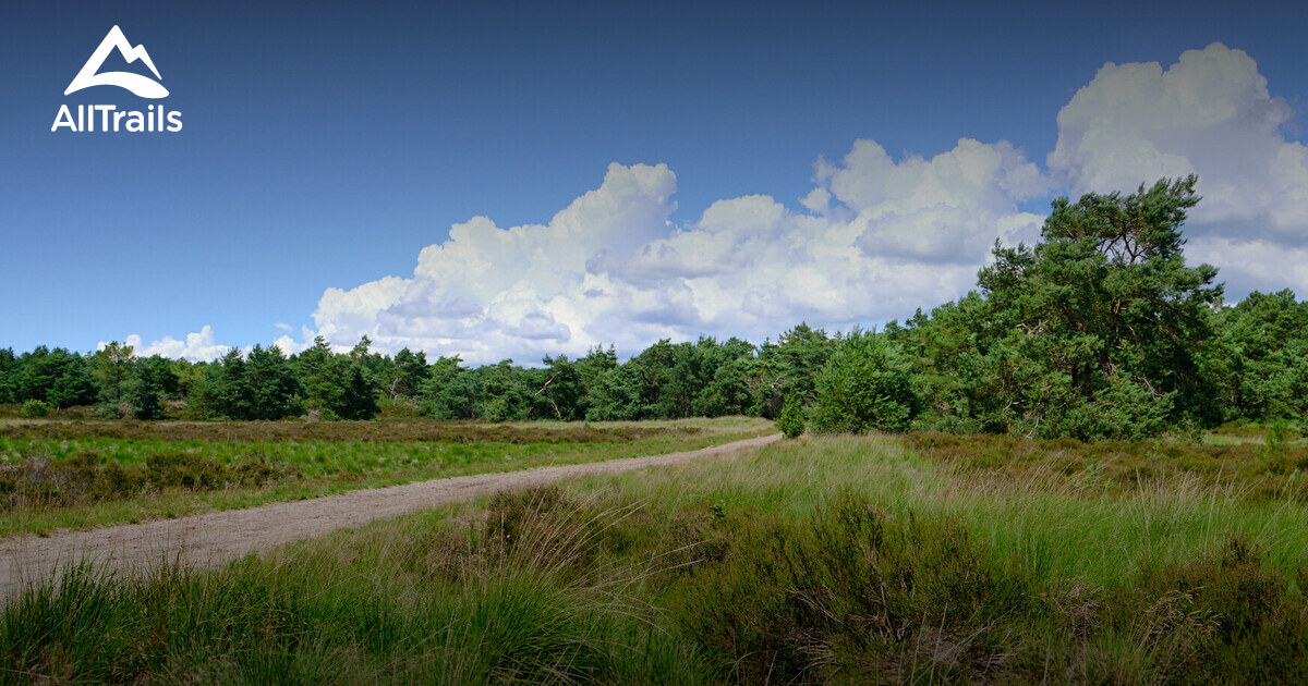 10 Best trails and hikes in Ossendrecht | AllTrails