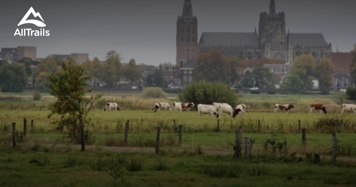 10 Best trails and hikes in 's-Hertogenbosch | AllTrails