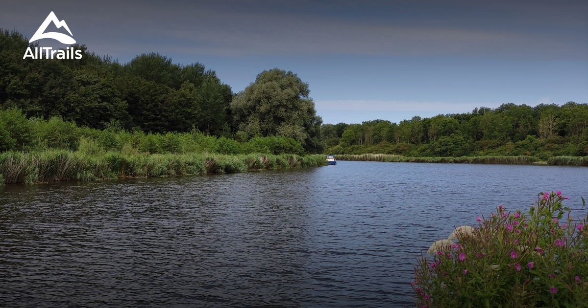 2023 Best Beach Trails in Koedijk | AllTrails