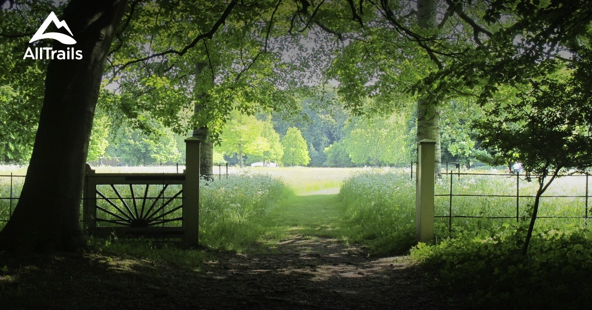 De 10 beste wandelroutes om te wandelen in Overveen | AllTrails