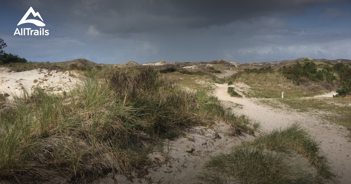 Best camping trails in Schoorl | AllTrails