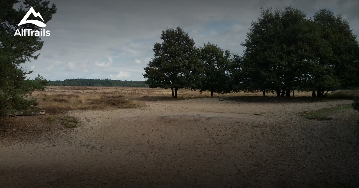 10 Best Trails and Hikes in Balkbrug | AllTrails