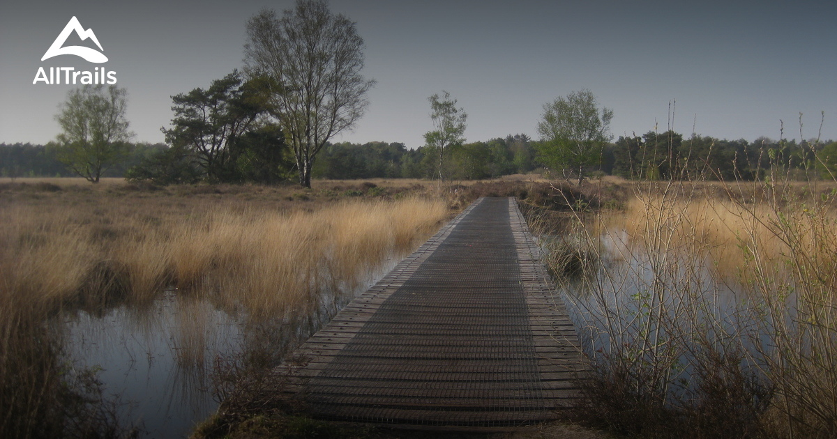 Best beach trails in Haaksbergen | AllTrails