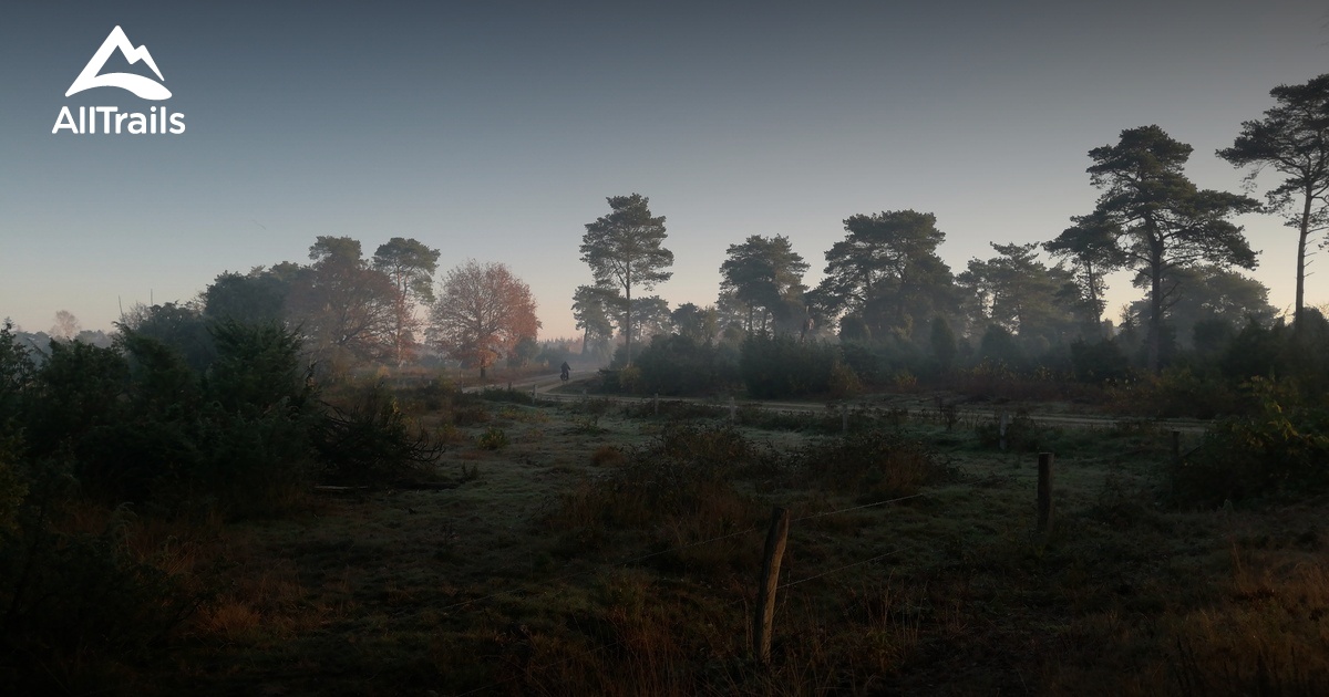 De 10 beste wandelroutes in Markelo | AllTrails