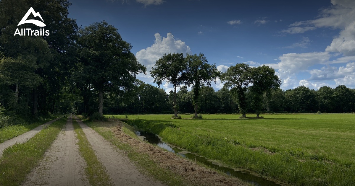 De 10 beste wandelroutes om te wandelen in Ommen | AllTrails