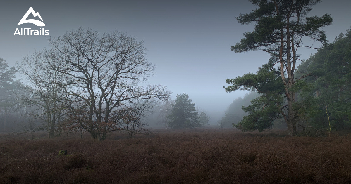 Best easy trails in Vasse | AllTrails