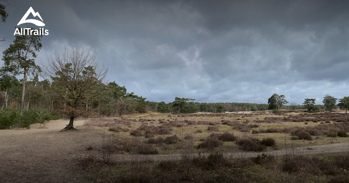 Best long trails in Den Dolder | AllTrails