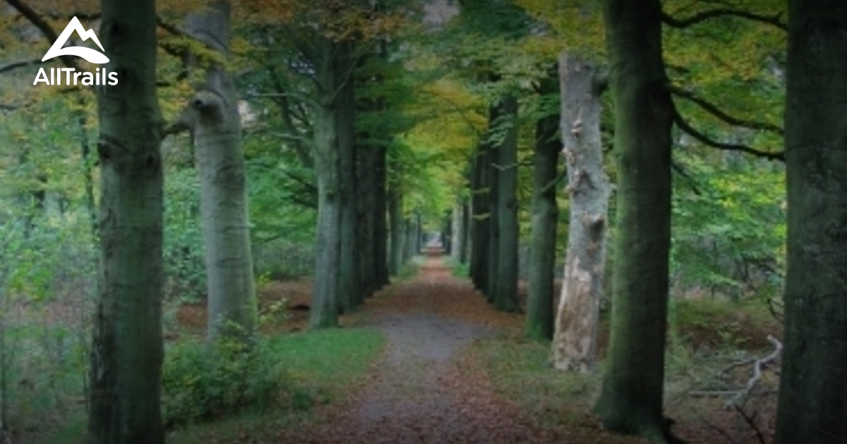10 Best Trails, Walks, and Paths in Hollandsche Rading | AllTrails