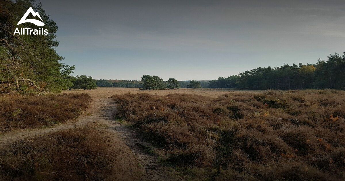 De 10 beste wandelroutes om te wandelen in Leersum | AllTrails